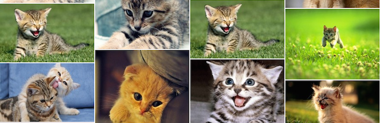 jQuery Masonry Image Gallery – Installation - WordPress Plugin | 2025